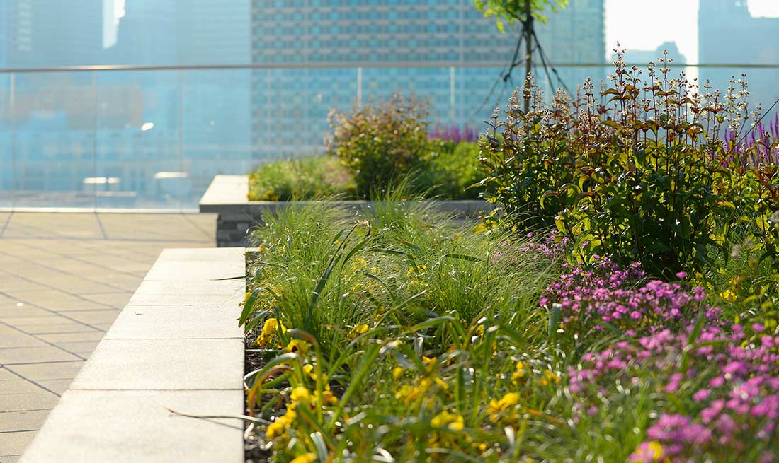 Green roof growing substrate products - rooflite Australia